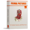 Primal Pictures | Anatomy and Physiology Solution