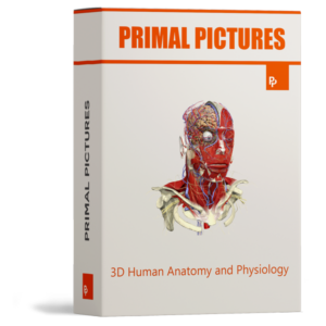 Primal Pictures’ 3D Human Anatomy - Learning Curve Global