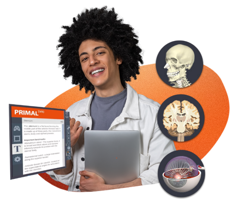 Primal Pictures | Anatomy and Physiology Solution