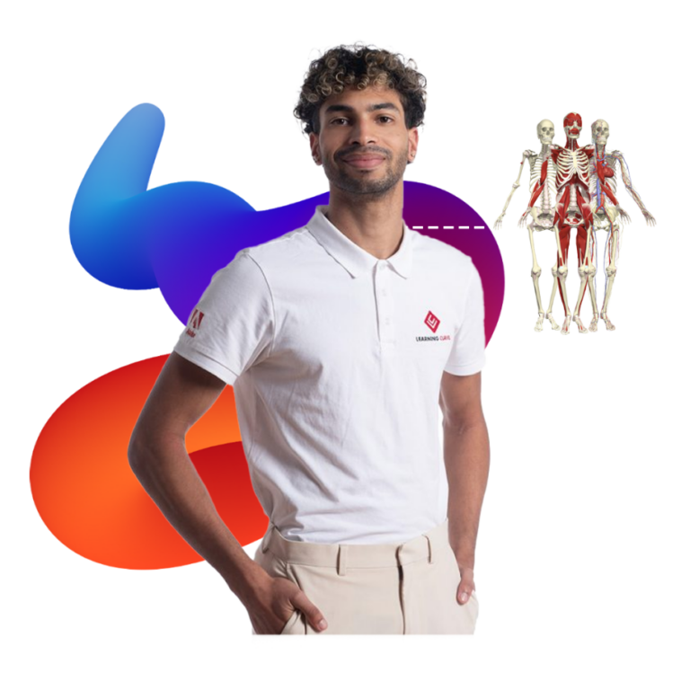 Primal Pictures 3D Model Anatomy | Interactive Model